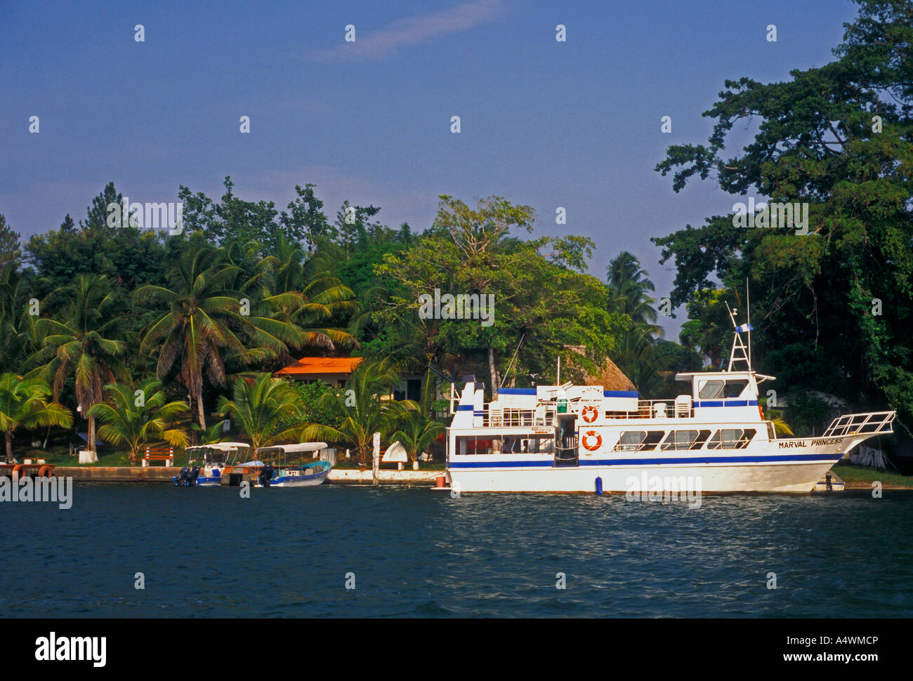 Sightseeing tour and fishing boat along Rio Dulce Dulce River El ...
