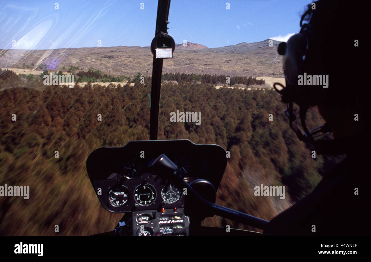 Flying over tree tops hi-res stock photography and images - Alamy