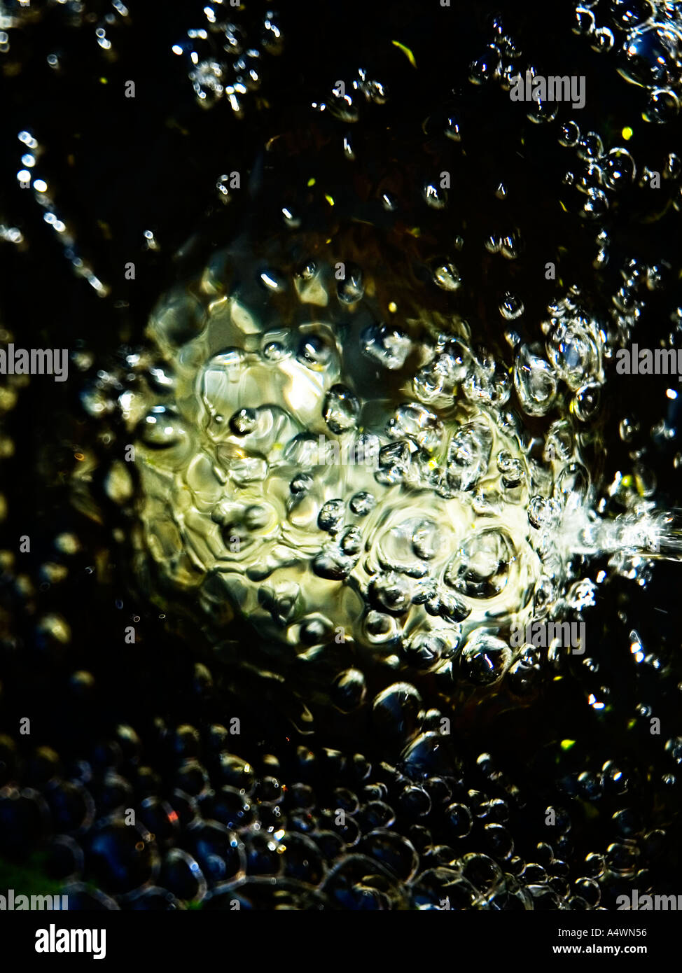 Splash of water in garden pond Stock Photo - Alamy
