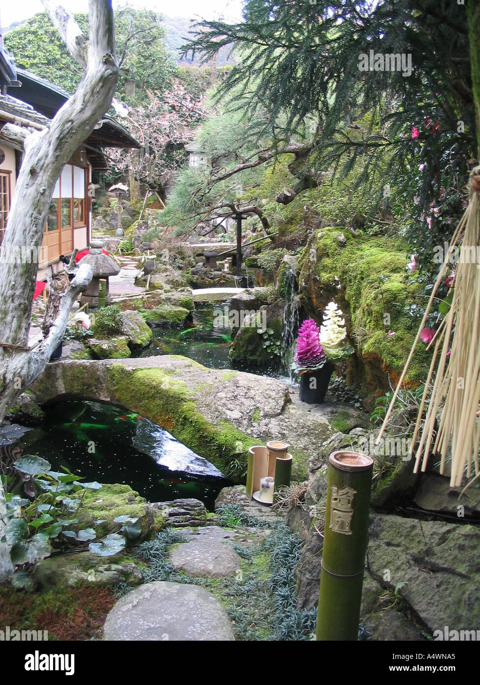 Traditional Japanese garden for geisha. Kyoto, Japan Stock Photo - Alamy