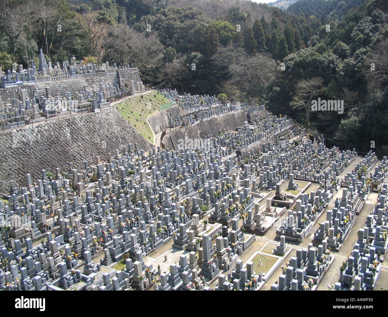 Japanese grave yard. Japan Stock Photo - Alamy