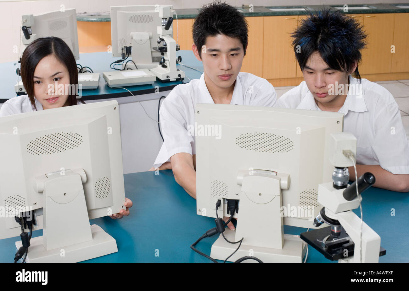 Students working at computers Stock Photo - Alamy Students working at computers Stock Photo - Alamy