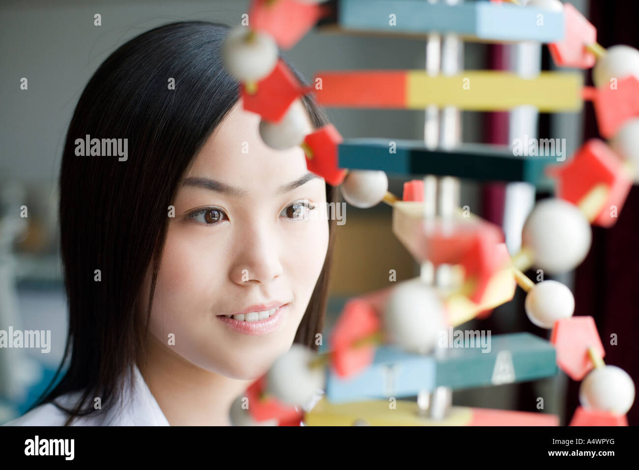 Female Student Examining Dna Model High Resolution Stock Photography ...