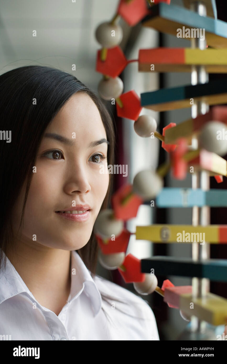 Female student examining a DNA model Stock Photo - Alamy