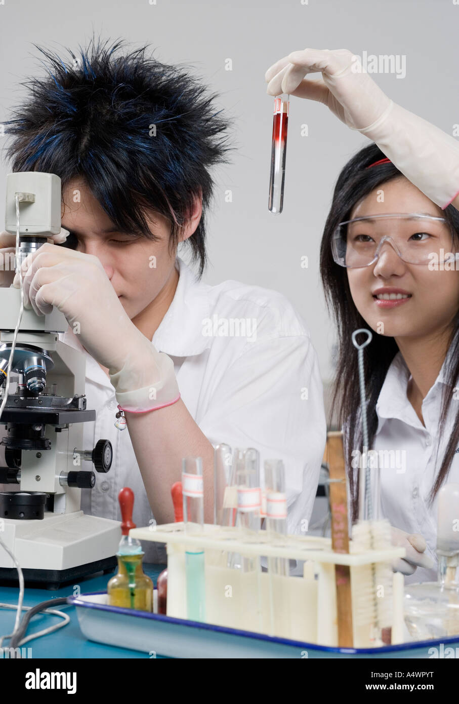 Students examining the contents of test tubes Stock Photo - Alamy