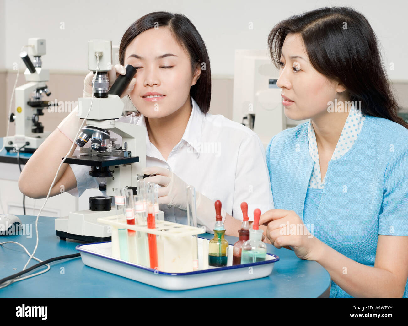 Teacher supervising female student using a microscope Stock Photo - Alamy