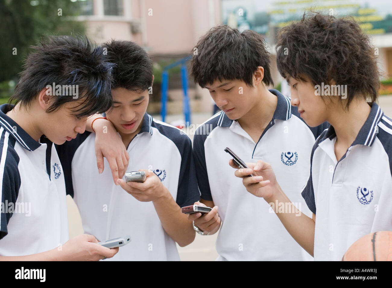 Male students using cell phones Stock Photo - Alamy