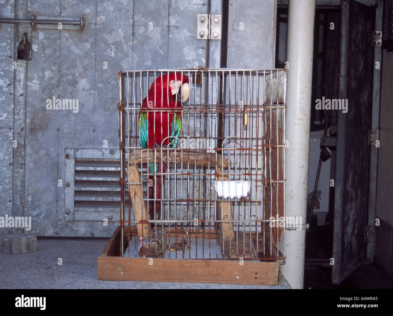 Cadged hi-res stock photography and images - Alamy