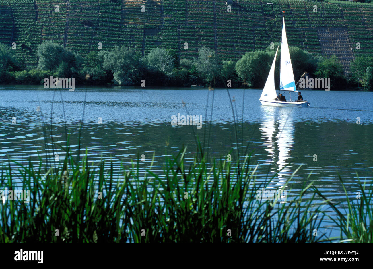 Sailboat on the lake Max Eyth See Stuttgart Baden Wuerttemberg Germany ...