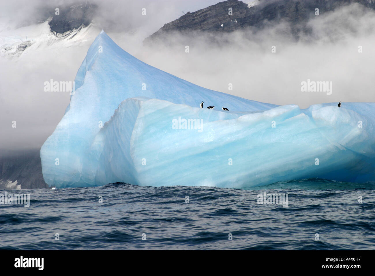 Antarctic colored iceberg hi-res stock photography and images - Alamy