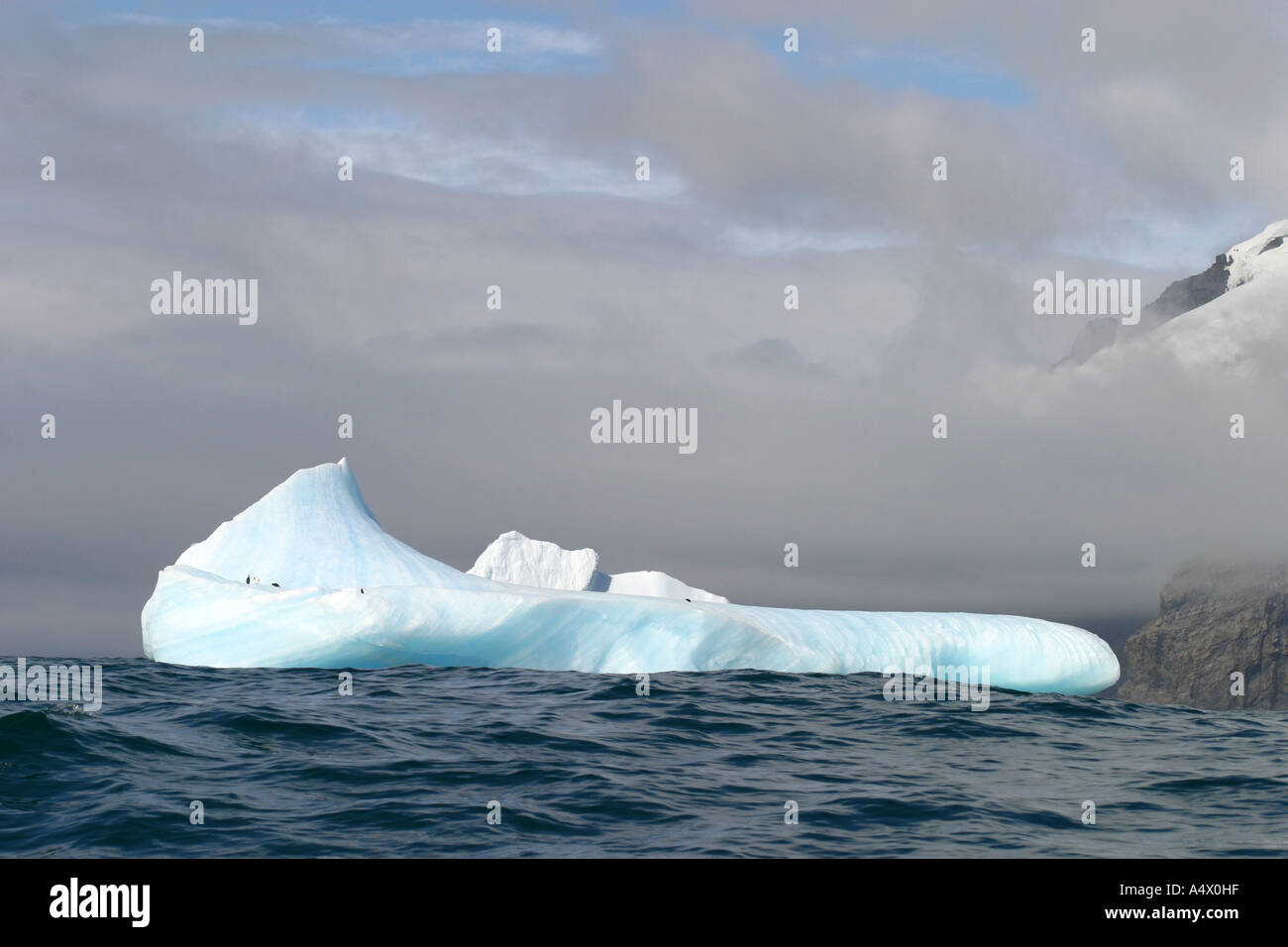 Antarctic colored iceberg hi-res stock photography and images - Alamy