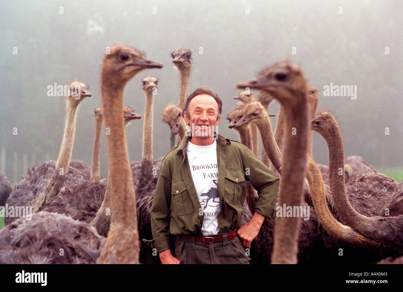 Tyack hi-res stock photography and images - Alamy