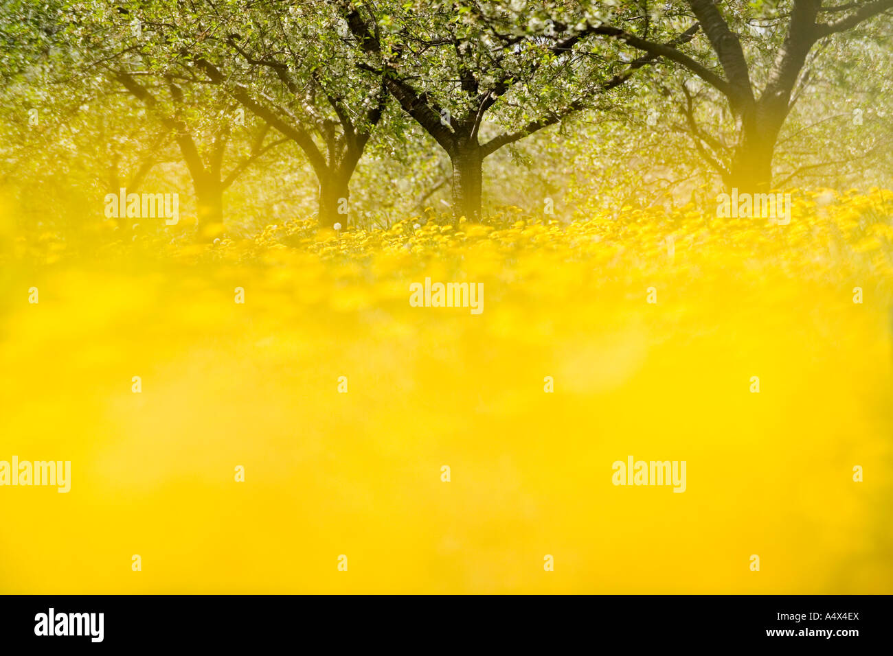 Door county wisconsin spring hi-res stock photography and images - Alamy