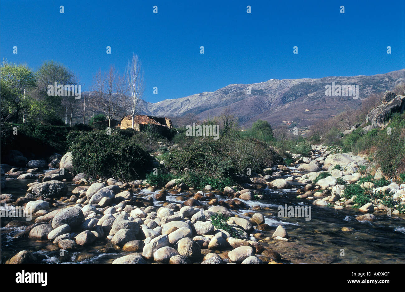 Landscape in Garganta Jaranda Jarandilla de la Vera Village Caceres ...