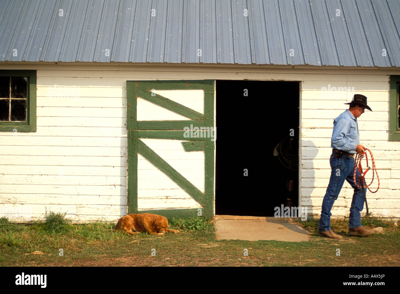 Cowboy and lasso at a Dude Ranch Knife River Ranch North Dakota Stock ...
