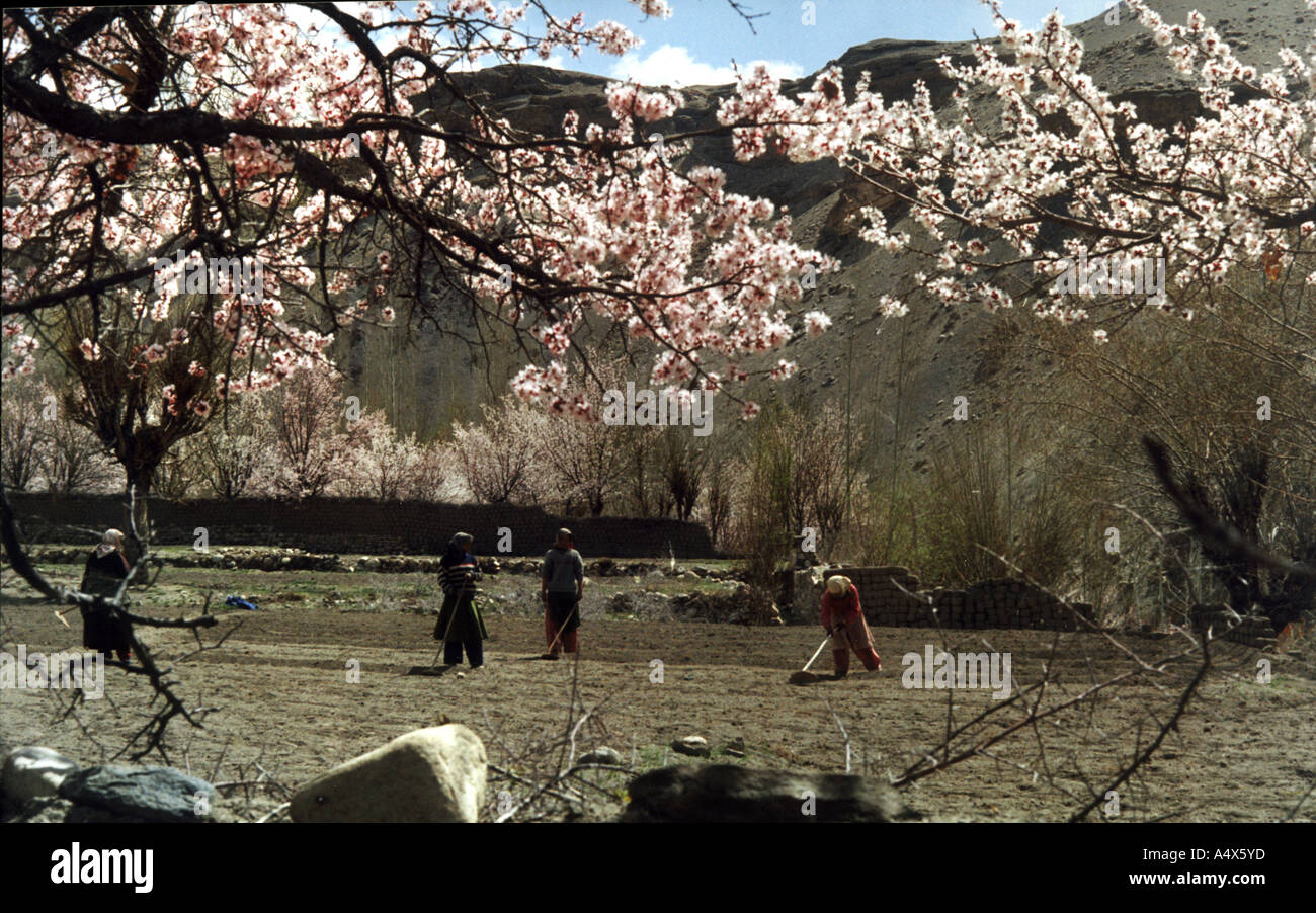 Ladakh farmers hi-res stock photography and images - Alamy