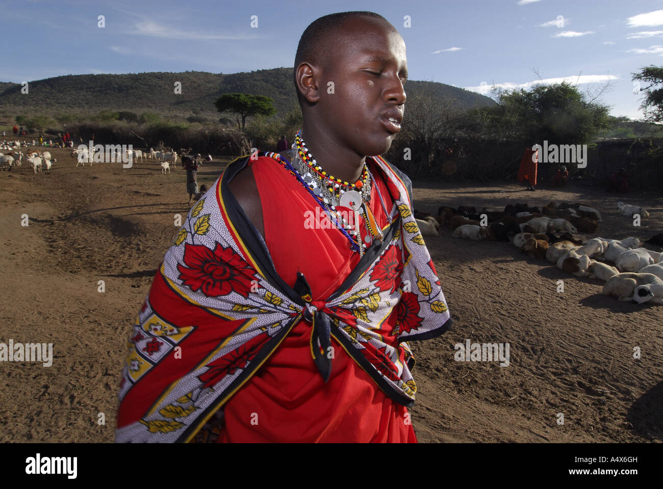 Masai Mara tribe around the Masai Mara National Park Kenya East Africa ...