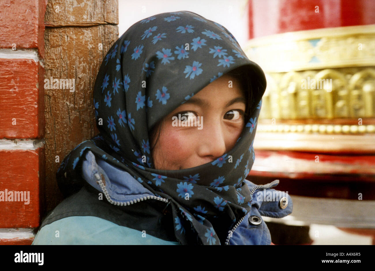 Local woman Leh Ladakh Jammu Kashmir India Stock Photo - Alamy