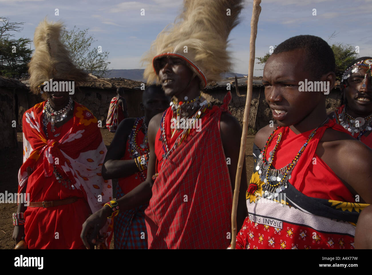 Masai Mara tribe around the Masai Mara National Park Kenya East Africa ...
