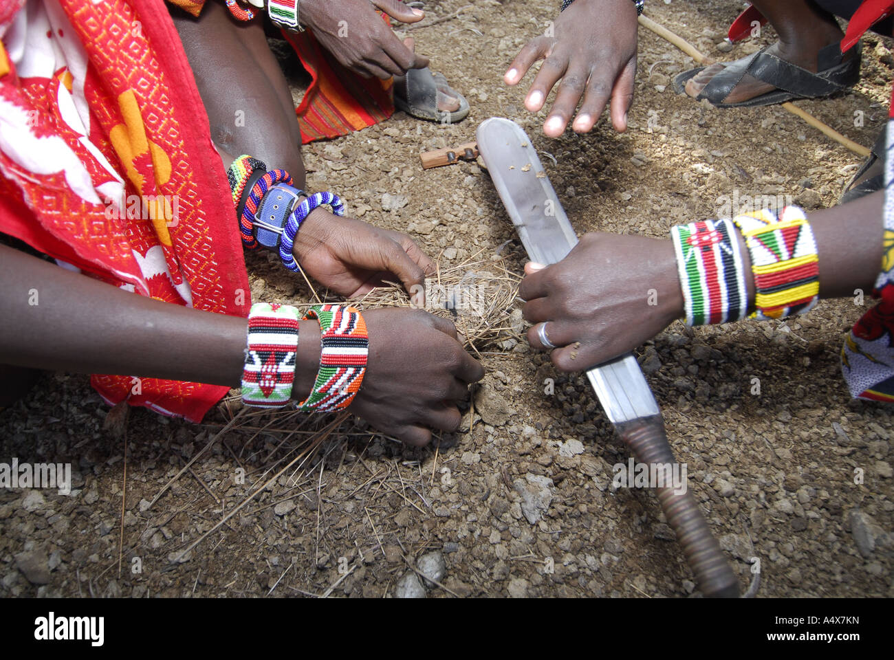 The animals like the goat and the cow are the most important possesions ...