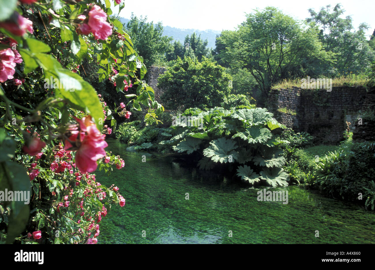 Ninfa hi-res stock photography and images - Alamy