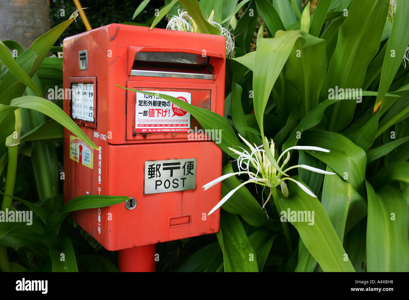 Post Box Aoshima Miyazaki Prefecture Kyushu Island Japan Stock Photo ...