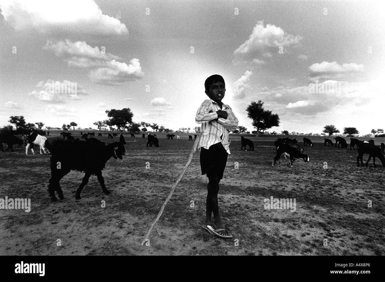 Shepherd Boy Stock Photos & Shepherd Boy Stock Images - Alamy