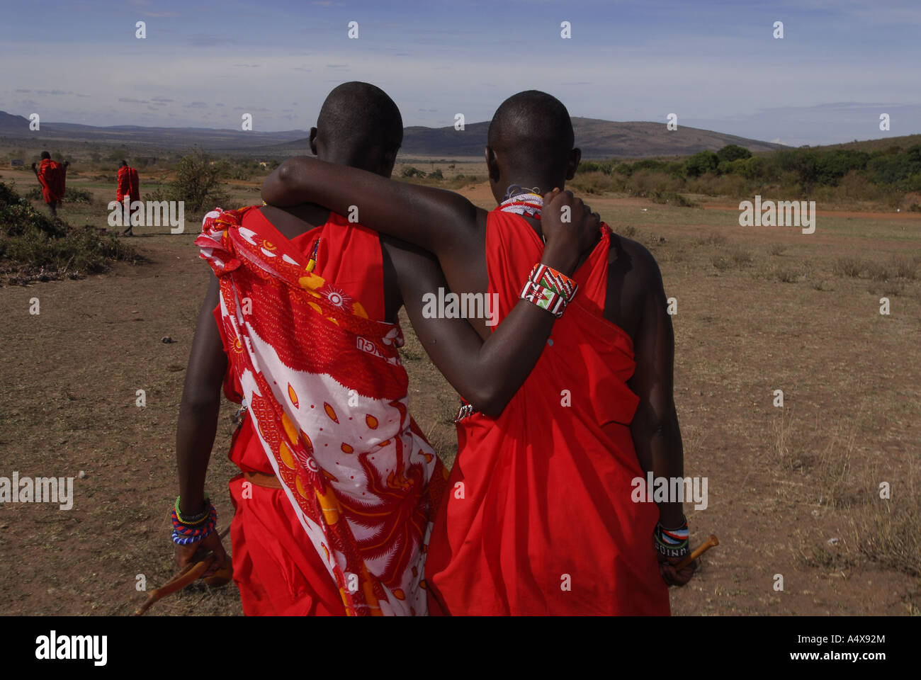 Masai Mara tribe around the Masai Mara National Park Kenya East Africa ...