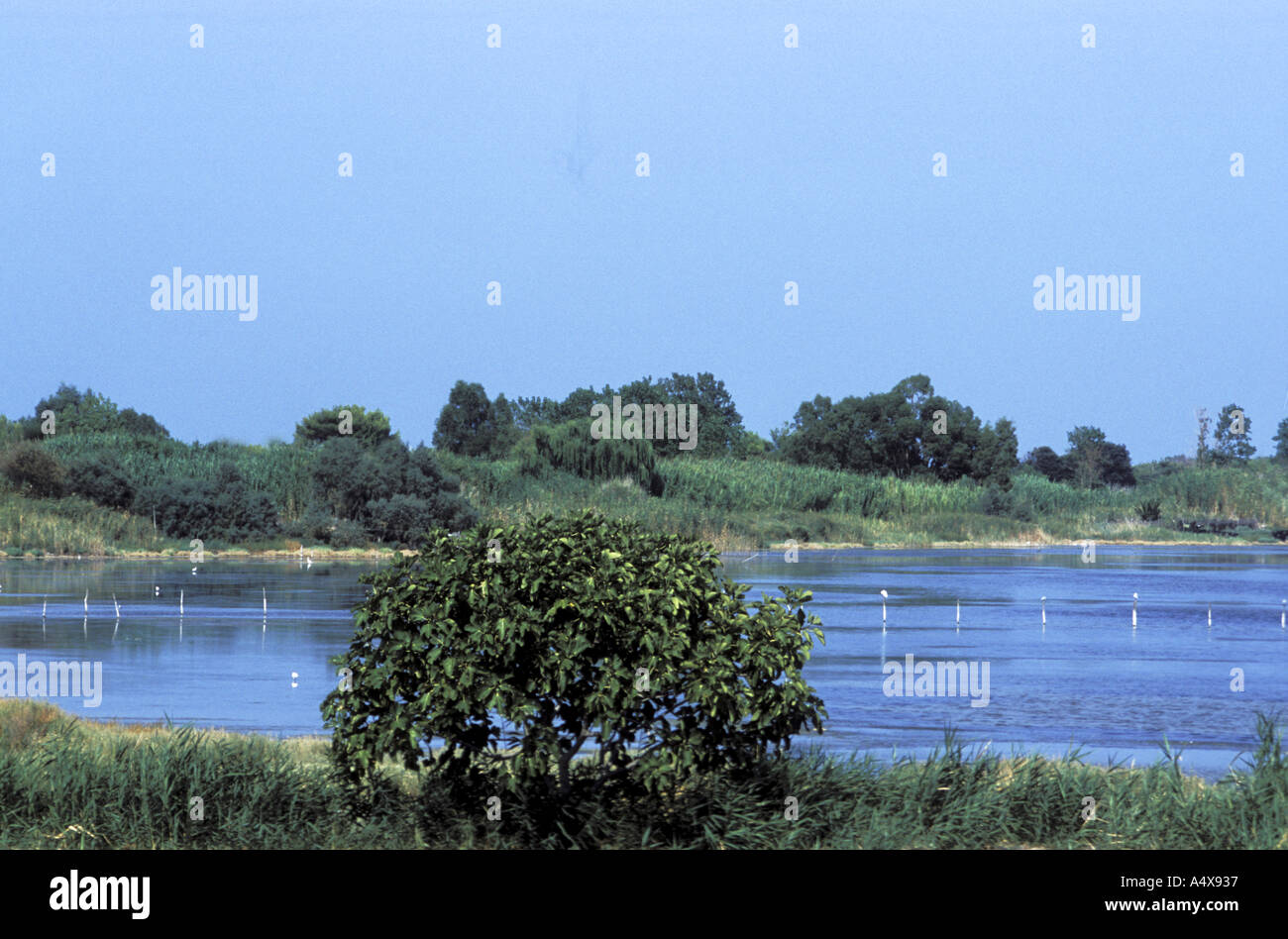Lake lesina hi-res stock photography and images - Alamy