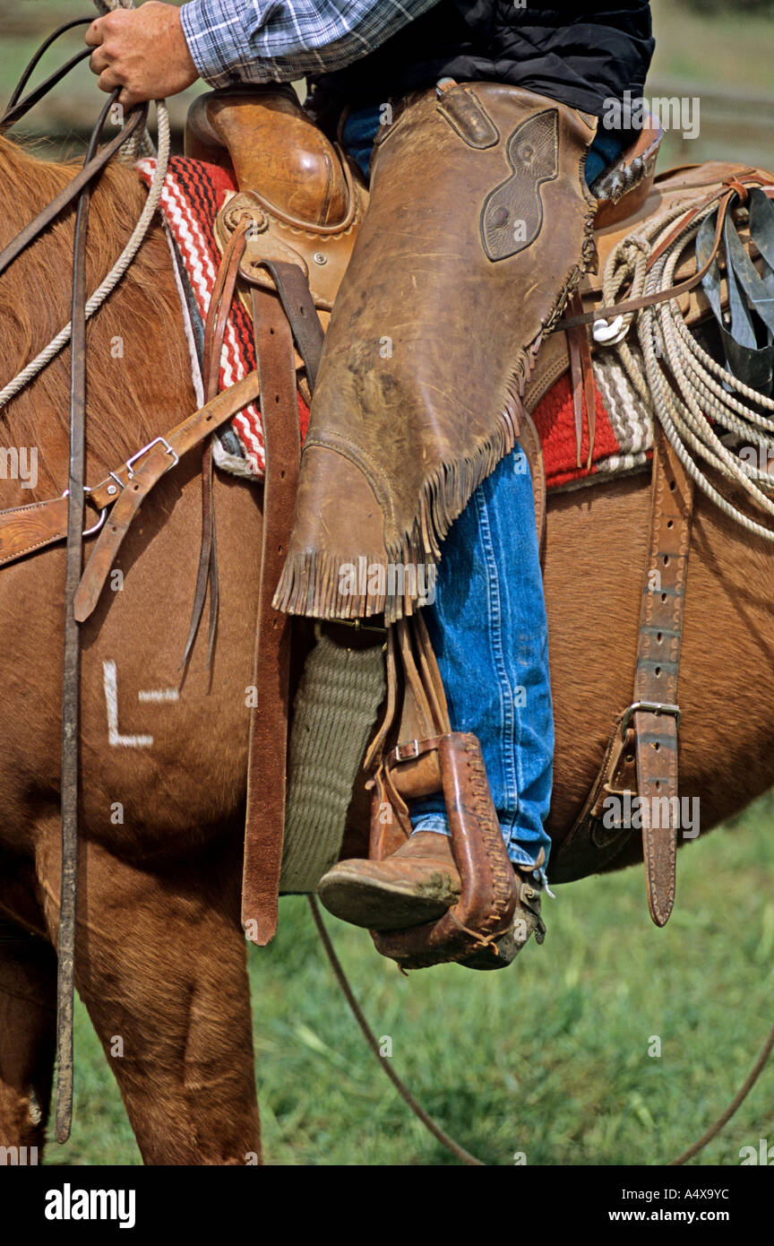 Cow boy saddle detail Stock Photo - Alamy