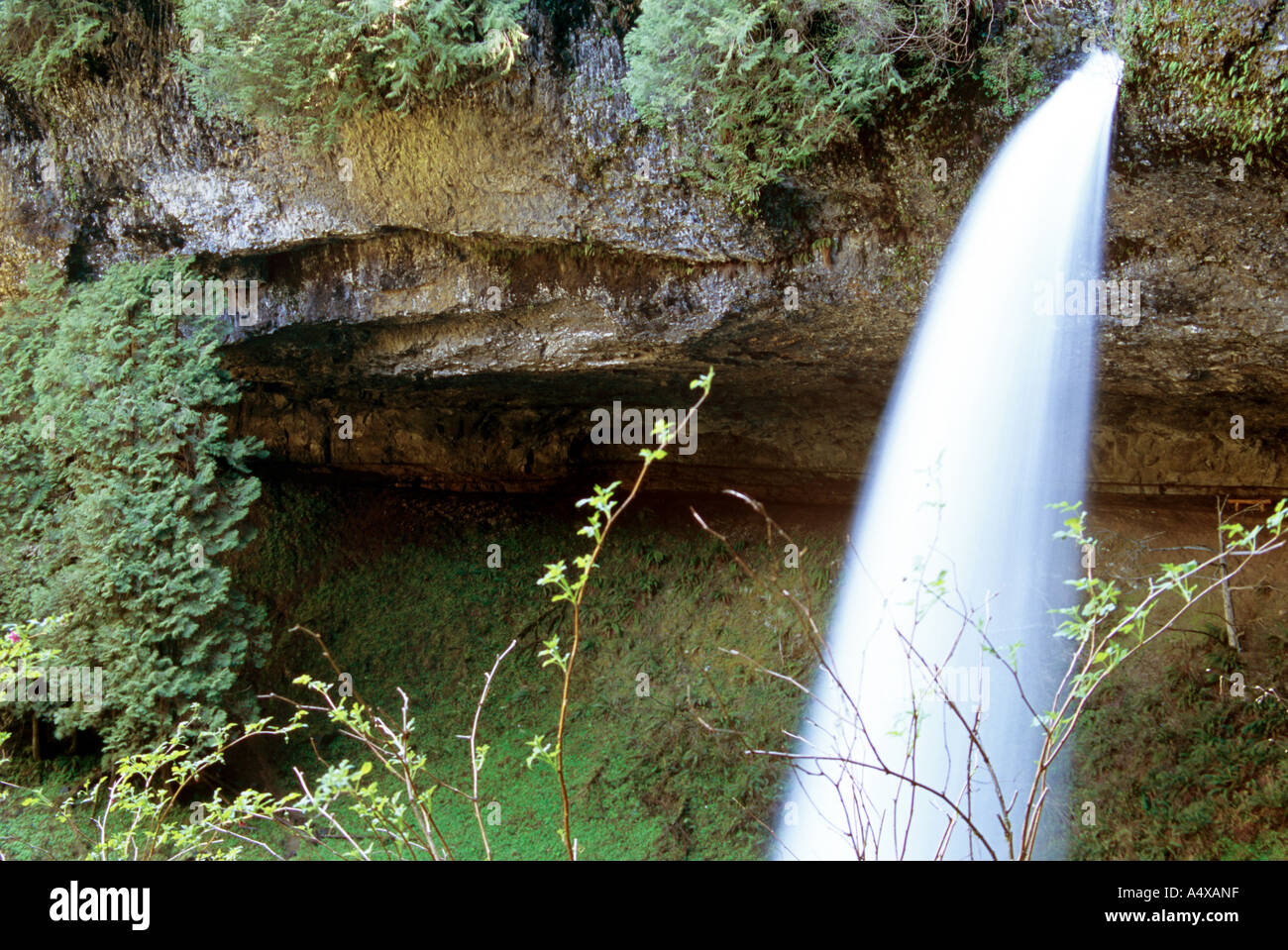 Falling springs falls hi-res stock photography and images - Alamy