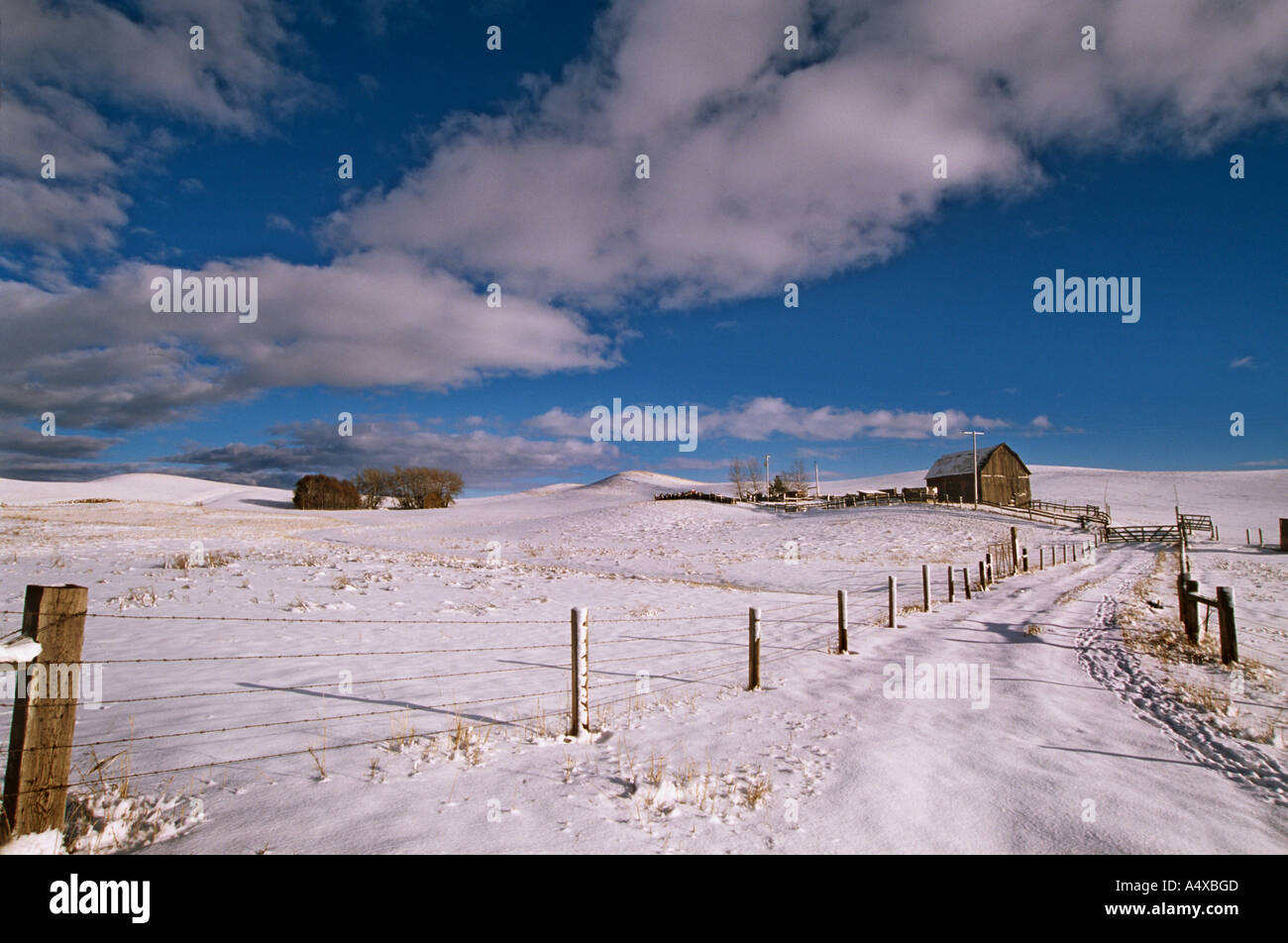 Palouse snow hi-res stock photography and images - Alamy