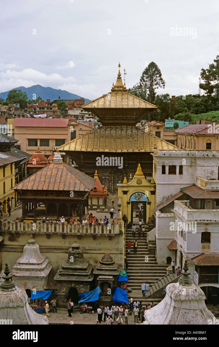 Pashupati Nath temple Stock Photo - Alamy