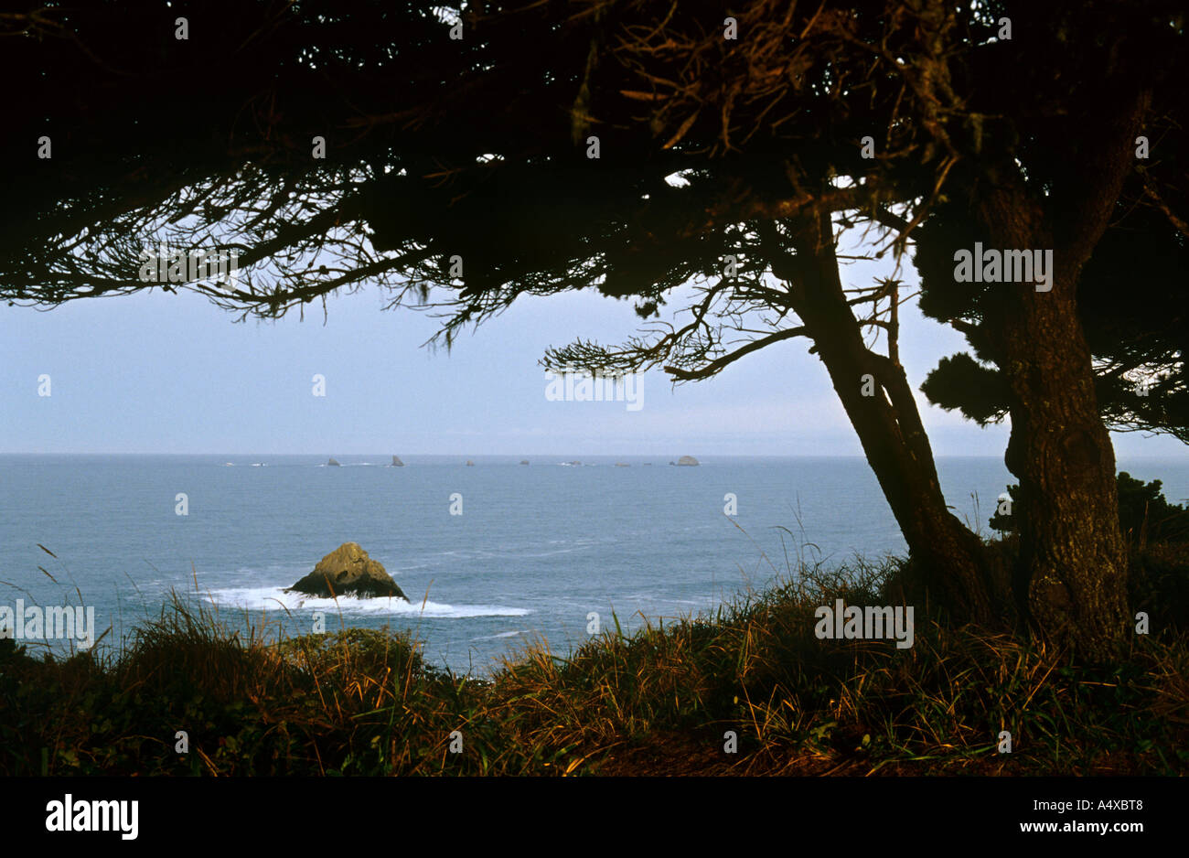 Seal ward hi-res stock photography and images - Alamy