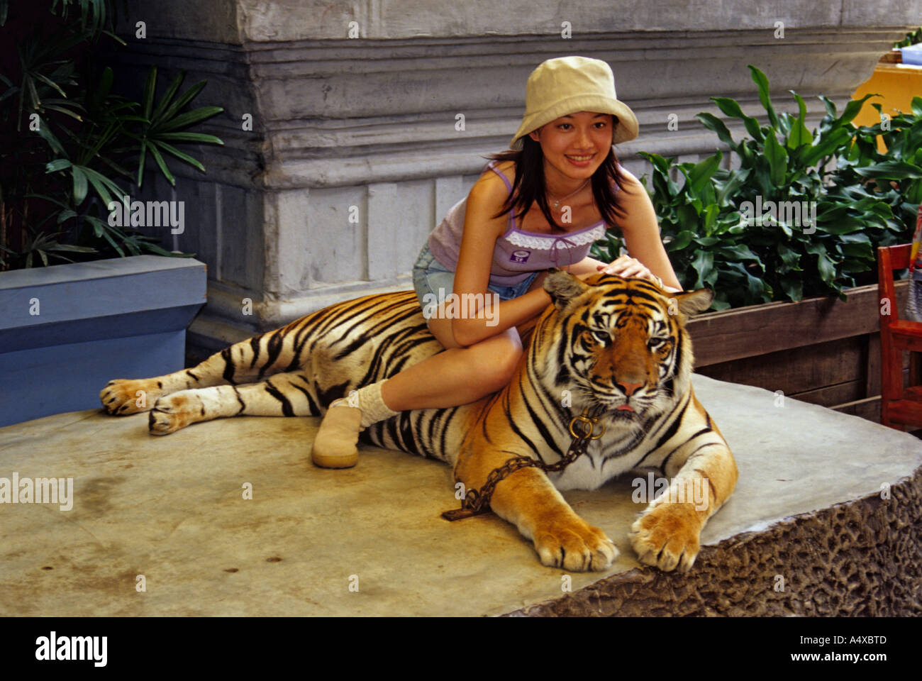 Tiger woman hi-res stock photography and images - Alamy