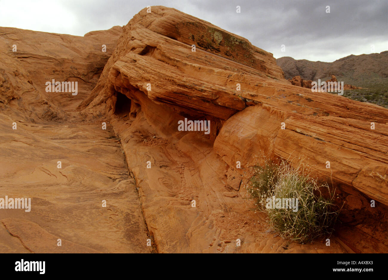 Red sand stone Stock Photo - Alamy