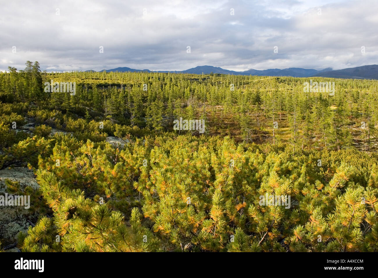 National park "Jack London's lake", Magadan area, Eastern Siberia ...