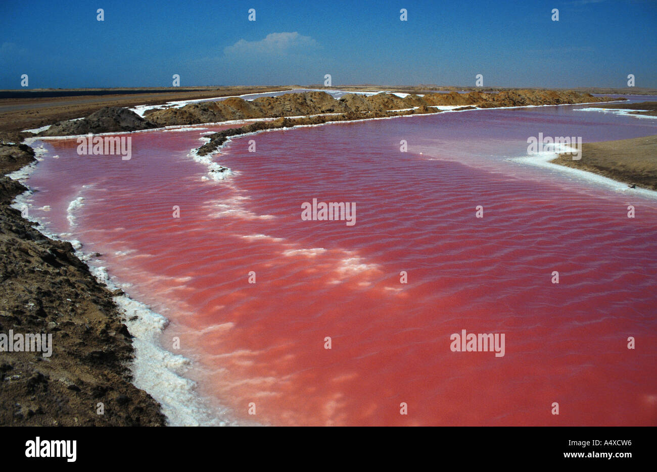 salt refinery, Namibia Stock Photo - Alamy