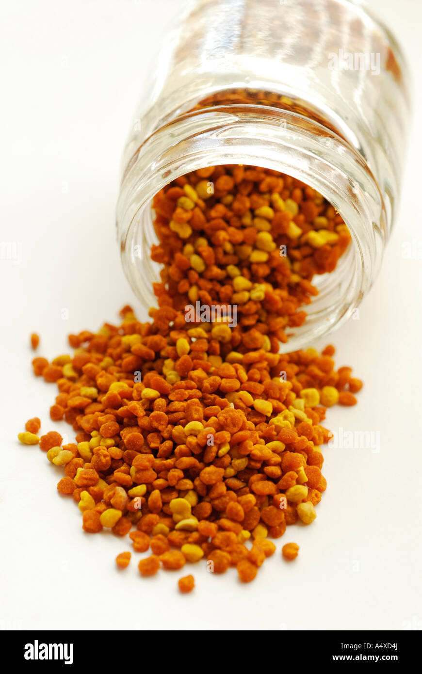 Pollen grains hi-res stock photography and images - Alamy