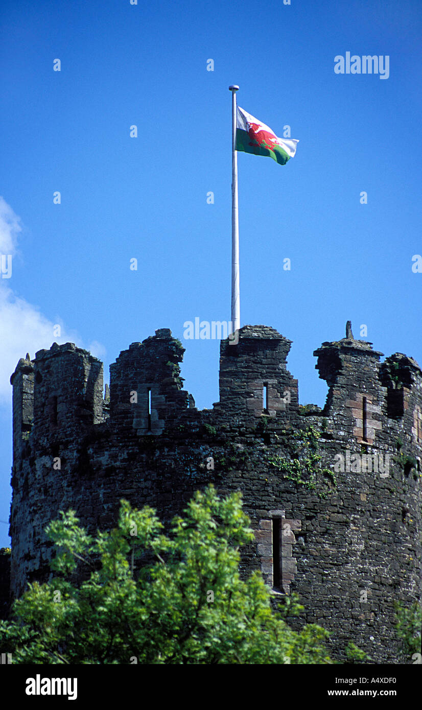 Welsh flag over Conwy Castle Wales Stock Photo - Alamy