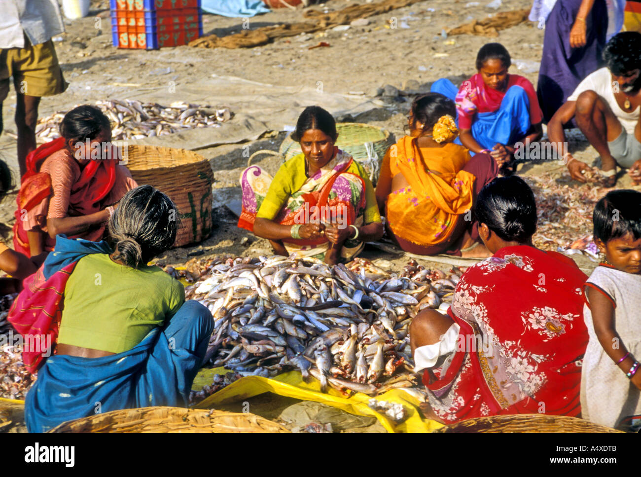 Koli Women Stock Photos & Koli Women Stock Images - Alamy
