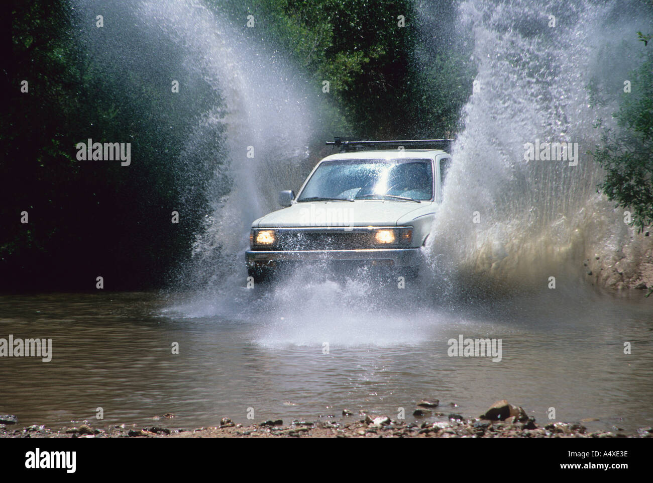 4x4 off road driving 4runner through water Stock Photo - Alamy