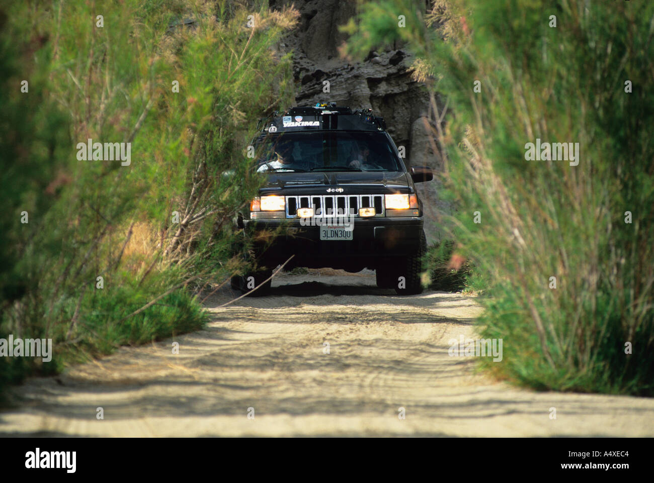 4x4 off road driving Stock Photo - Alamy