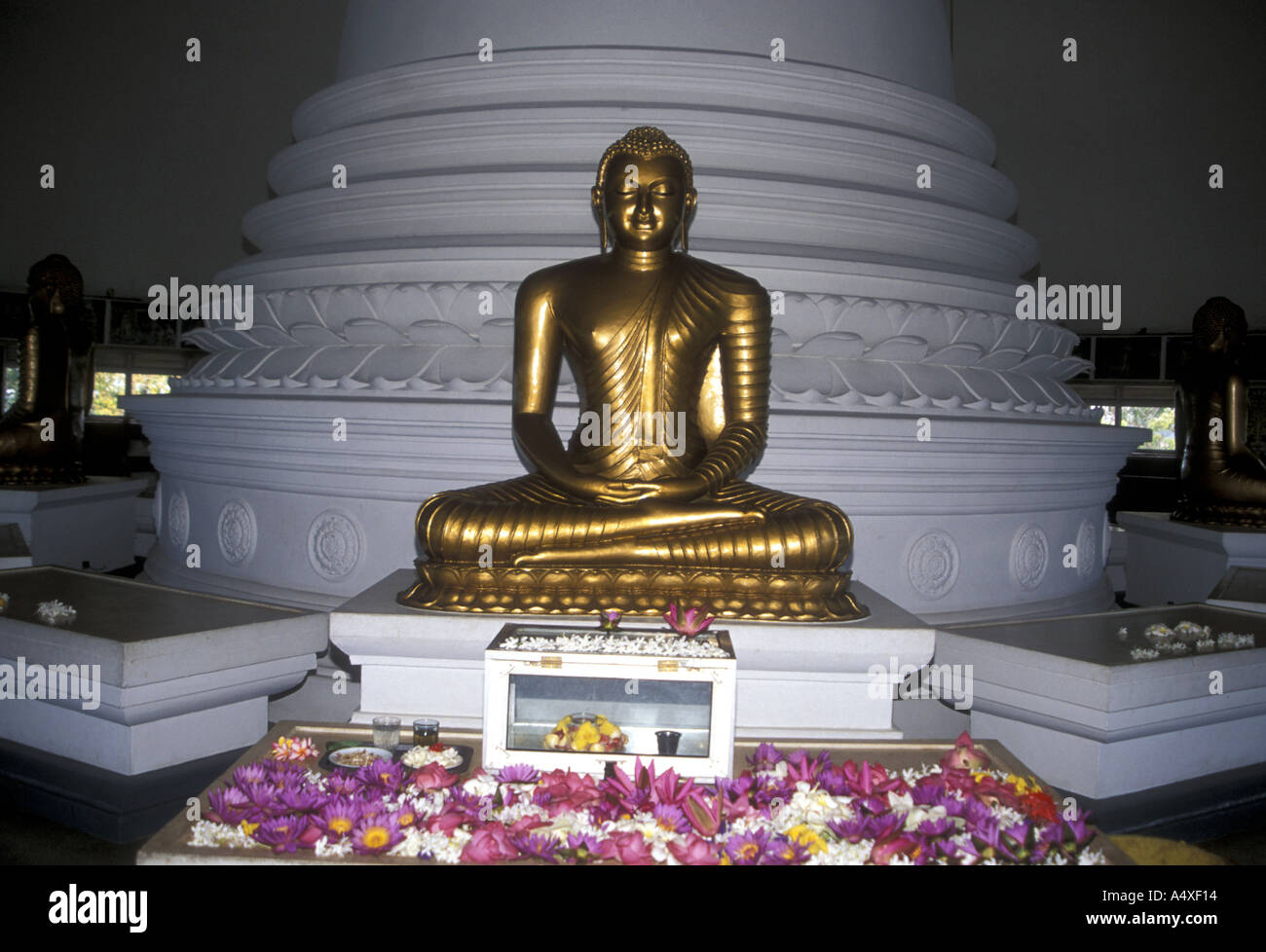 Flower offerings to a Buddha shrine in Sri Lanka Stock Photo - Alamy