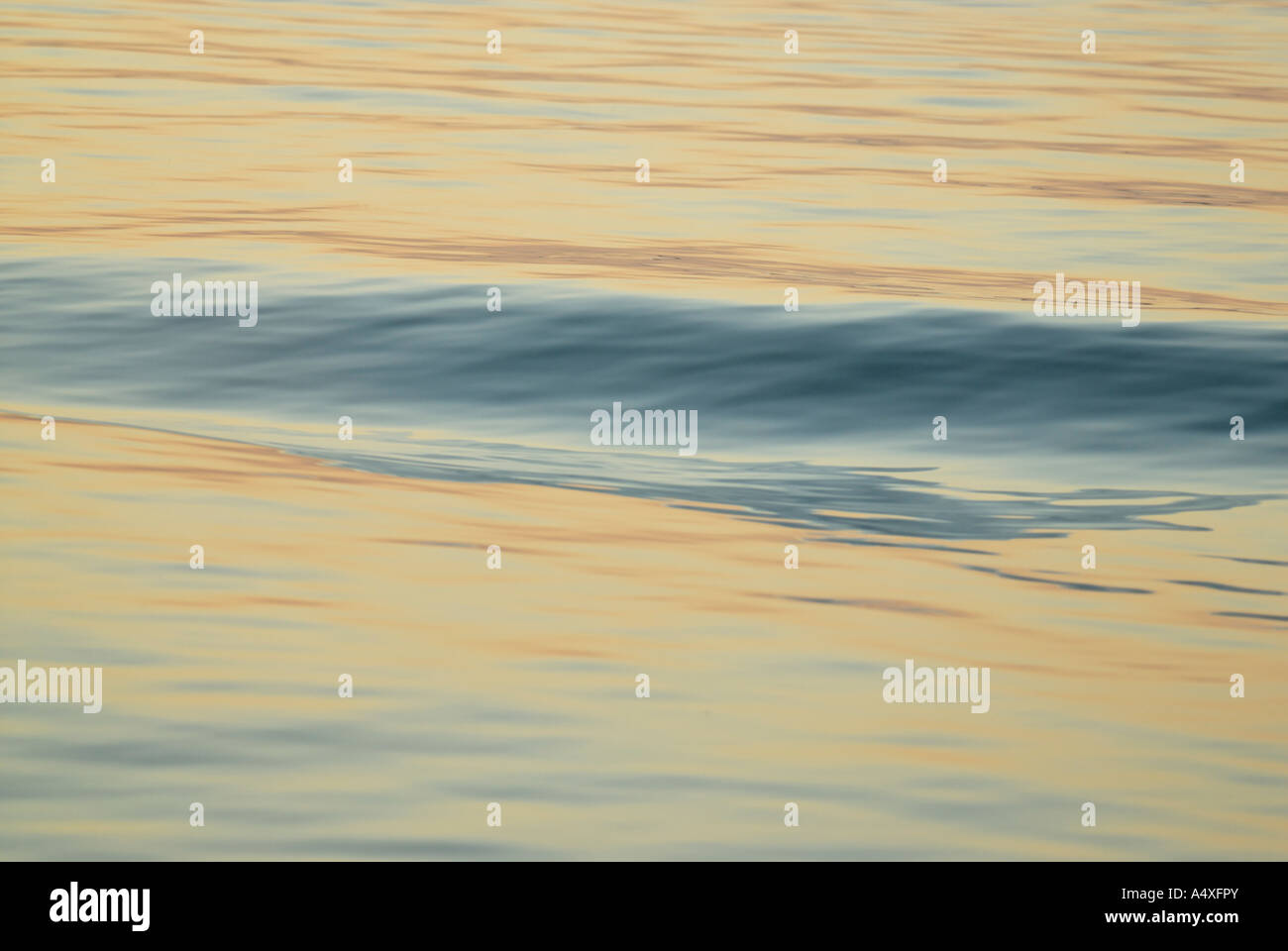 Smooth wave in the water Stock Photo - Alamy