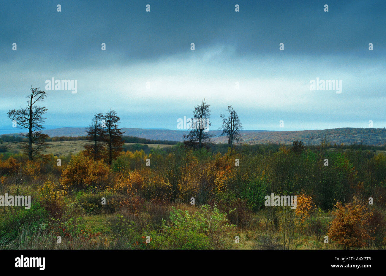 Military landscape hi-res stock photography and images - Alamy
