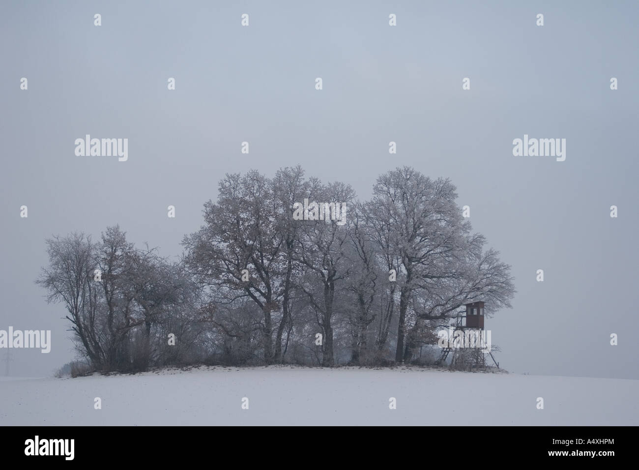 Raised Hide with Trees in Winter Stock Photo - Alamy