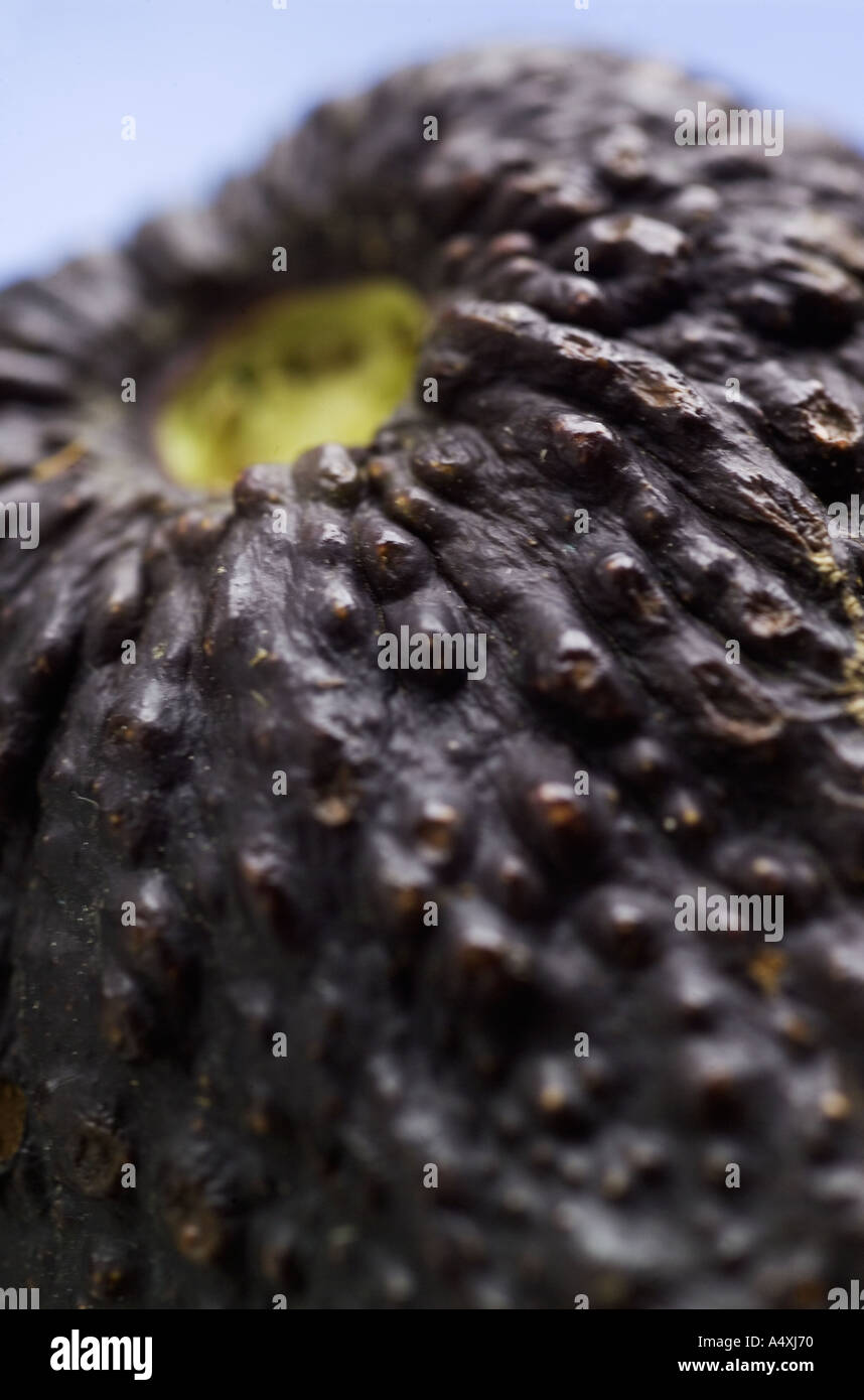 Close up of black avocado skin Stock Photo - Alamy