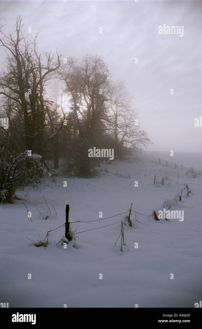 Surreal winter landscape Stock Photo - Alamy