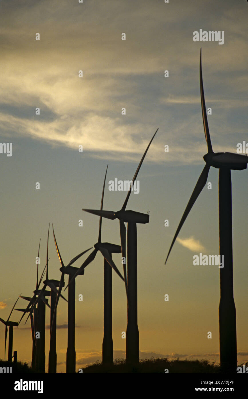 Power generating windmills Stock Photo - Alamy